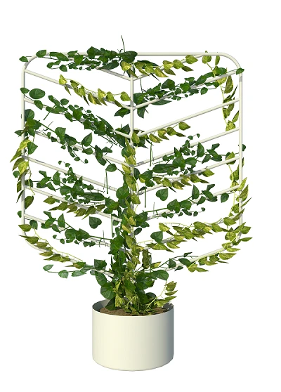 Botanic Lab - професионално проектиране, изграждане и поддръжка на ...