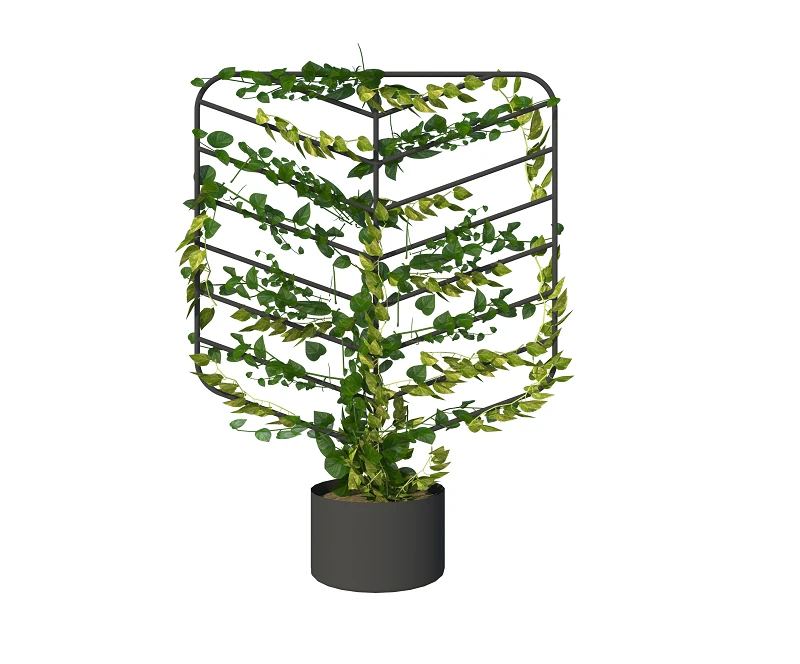 Botanic Lab - професионално проектиране, изграждане и поддръжка на ...