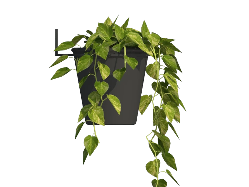 Botanic Lab - професионално проектиране, изграждане и поддръжка на ...